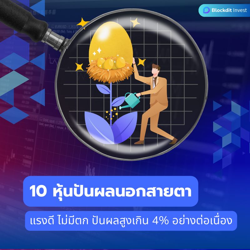 [Blockdit] 10 หุ้นปันผลนอกสายตา ที่ให้ปันผลสูงกว่า 4% อย่างต่อเนื่อง นักลงทุนที่ชอบหุ้นปันผล ...