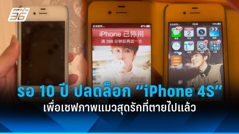 [PPTVHD36] 10 ปีไม่สาย! สาวรอ 80,000 ชม. ปลดล็อก "iPhone 4S" เพื่อเซฟภาพแมวที่ตายไปแล้ว สาวชาว ...