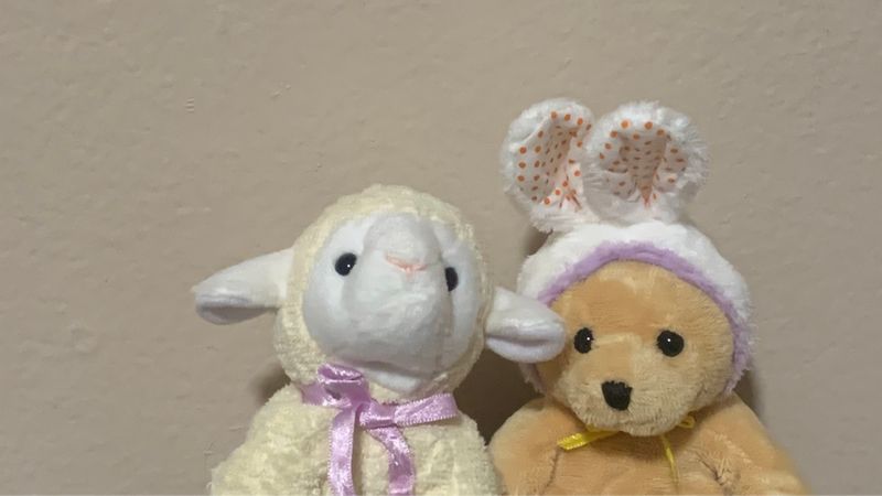 [mother of bitterness’s diary] Welcome to my life I recently adopted ...