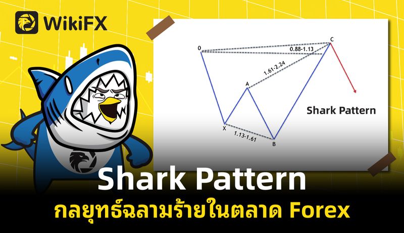 [WikiFX.TH] Shark Pattern กลยุทธ์ฉลามร้ายในตลาด Forex https://www.wikifx.com/th/newsdetail ...