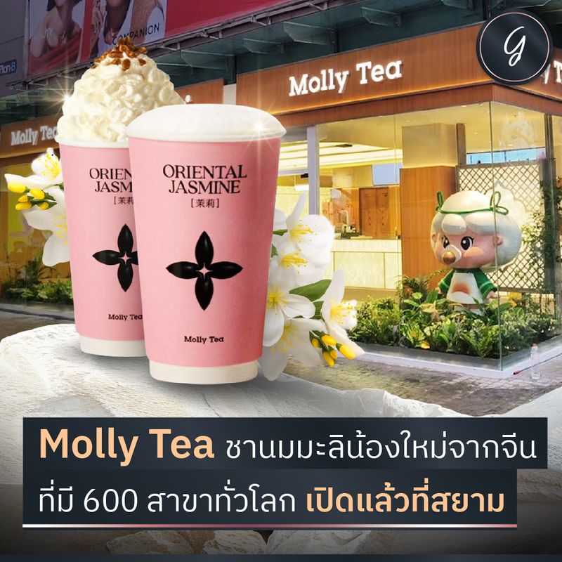 [ลงทุนเกิร์ล] Molly Tea ชานมมะลิน้องใหม่จากจีน ที่มี 600 สาขาทั่วโลก ...