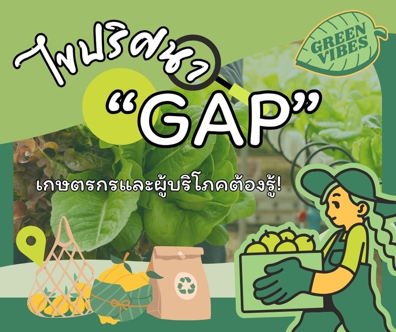 [Tips with TOP] ไขปริศนา “GAP” ที่เกษตรกร และผู้บริโภคต้องรู้!! ในยุค ...