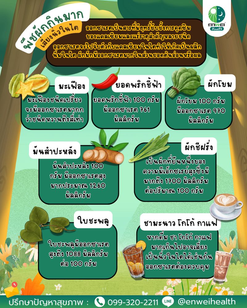 [ENWEI HEALTH] พืชผักที่กินมาก เสี่ยงนิ่วในไต ออกซาเรตเป็นสารที่มีฤทธิ์ ...
