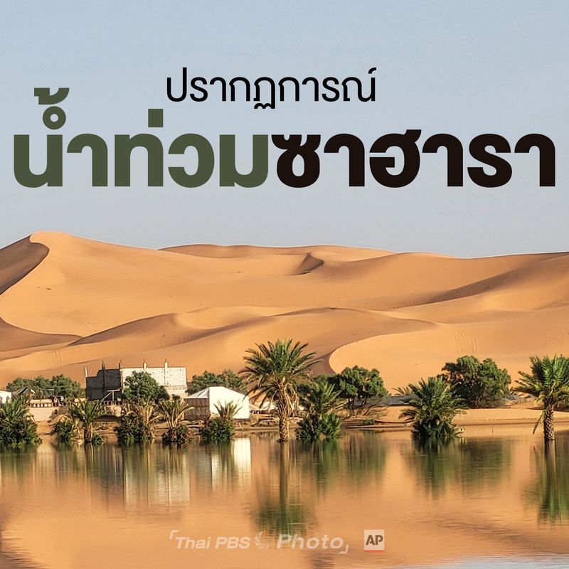 Thai Pbs ไทยพีบีเอส ภาพหายาก น้ำท่วม ทะเลทรายซาฮารา พื้นที่ที่แห้งแล้งที่สุดในโลก วันนี้