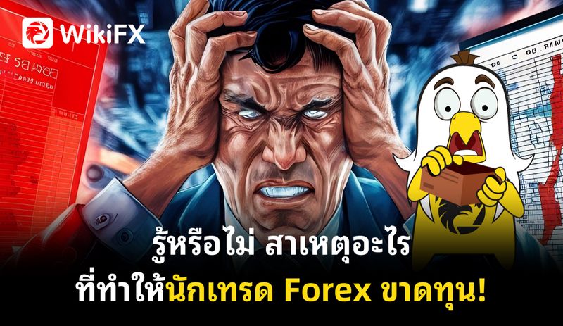[WikiFX.TH] รู้หรือไม่ สาเหตุอะไรที่ทำให้นักเทรด Forex ขาดทุน! https://www.wikifx.com/th ...
