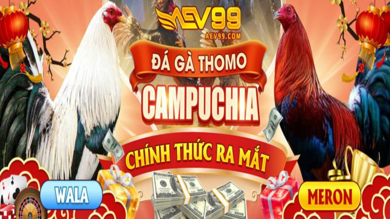 [AEV99] https://aev99.mobi/