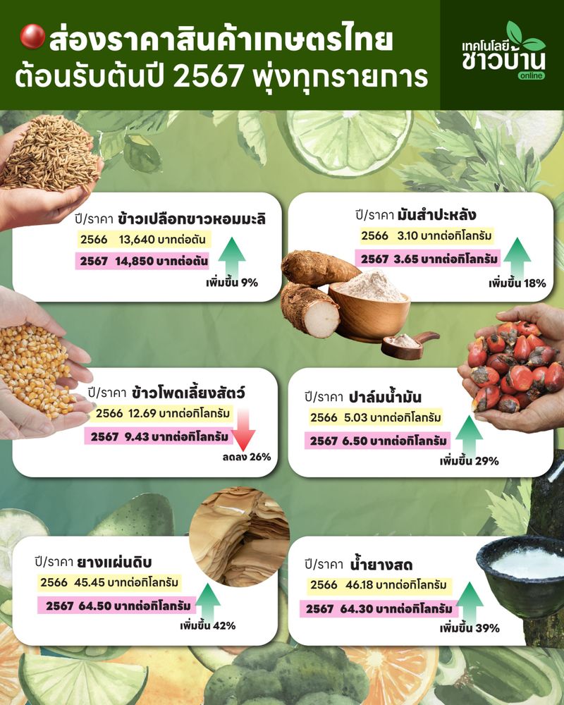 [Albrecht Entrati] เคยสงสัยไหมว่าทำไมสินค้าและบริการง่ายต่อการขึ้นราคา ...