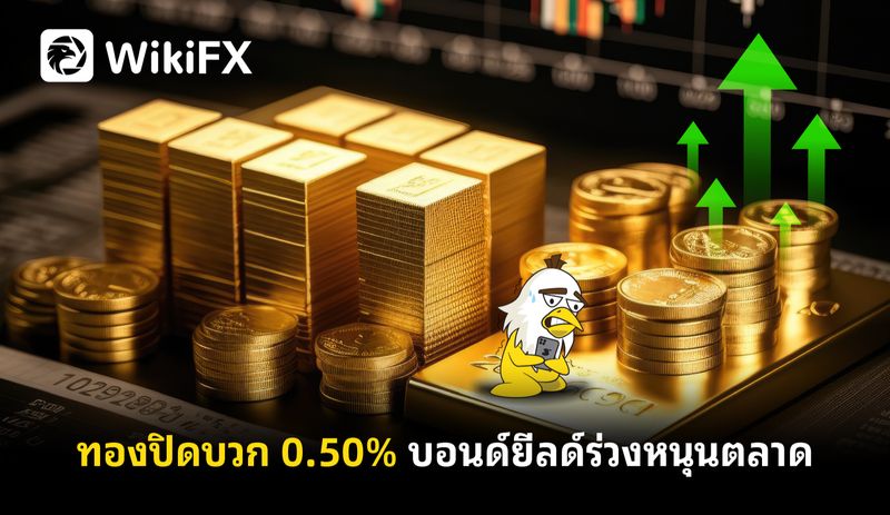 [WikiFX.TH] ทองปิดบวก 0.50% บอนด์ยีลด์ร่วงหนุนตลาด https://www.wikifx.com/th/newsdetail ...