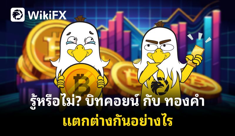 [WikiFX.TH] รู้หรือไม่? บิทคอยน์ กับ ทองคำ แตกต่างกันอย่างไร https://www.wikifx.com/th ...