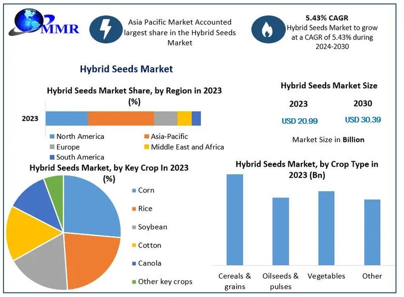 [kalpesh rajput] Global Hybrid Seeds Market Projected to Reach USD 30. ...