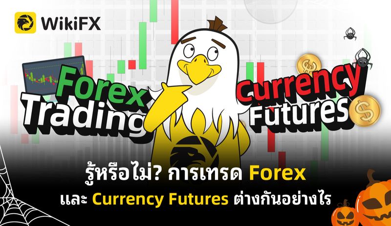 [WikiFX.TH] รู้หรือไม่? การเทรด Forex และ Currency Futures ต่างกันอย่างไร https://www.wikifx.com ...
