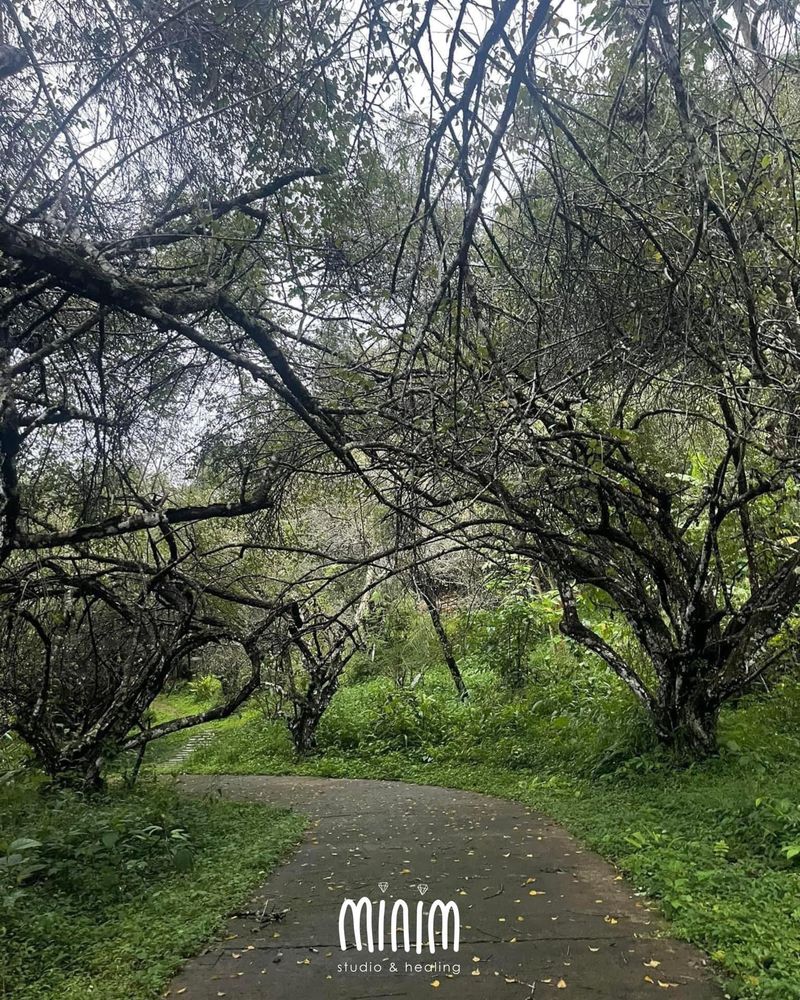 [minim studio] 🌟 ทุกอย่าง "ยาก" เสมอ... จนกว่าคุณจะ "ตัดสินใจ" เคย ...