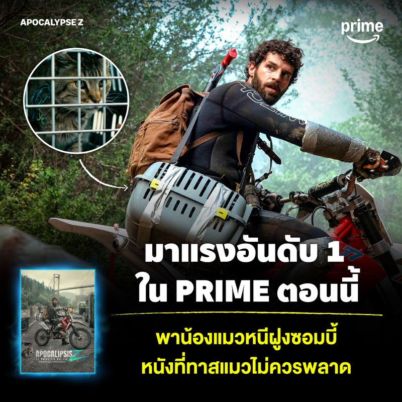 [ดูซีรีส์กัน] ทุกคนคะ วันหยุดนี้ไปตามเก็บการต่อสู้เอาชีวิตของนายและบ่าว ในซอมบี้สเปน Apocalypse ...