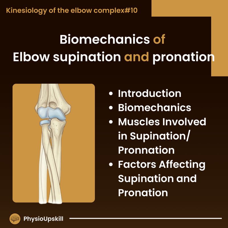 [Physioupskill] ##Episode 87: Kinesiology of the Elbow Complex #10 ...
