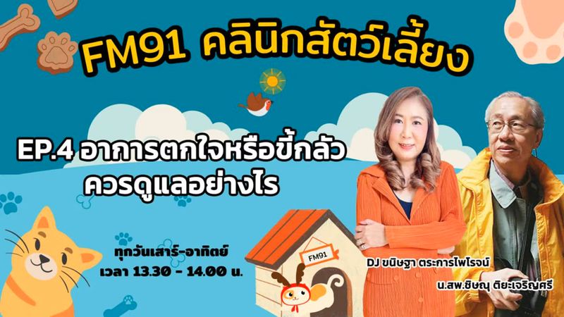 [FM91 Trafficpro] อาการตกใจหรือขี้กลัวของสัตว์เลี้ยง ควรดูแลอย่างไร EP.4 : FM91 คลินิกสัตว์ ...