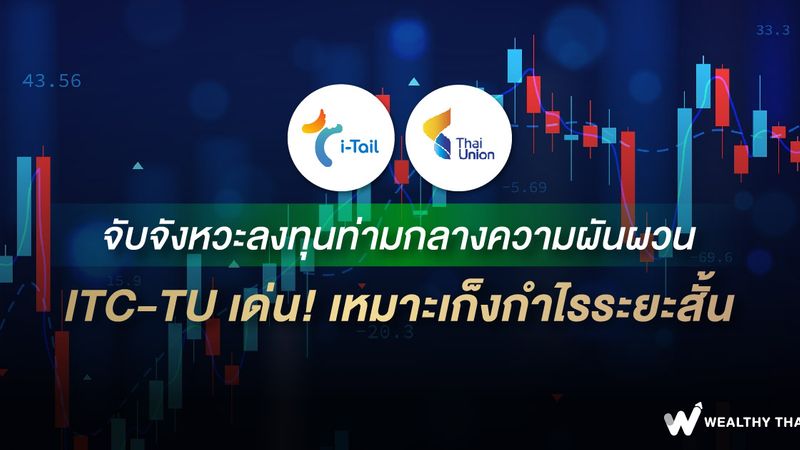 [Wealthy Thai] จับจังหวะลงทุนท่ามกลางความผันผวน ITC-TU เด่น! เหมาะเก็ง ...