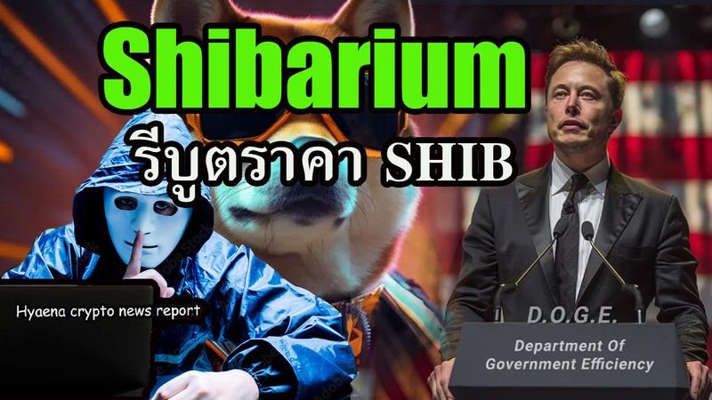 [SCOPE TV] Shibarium รีบูตราคาSHIB ถึงเวลาของชุมชุน ชิบะอินุ ข่าวShiba Inu (SHIB) ⚠ คำเตือน ...