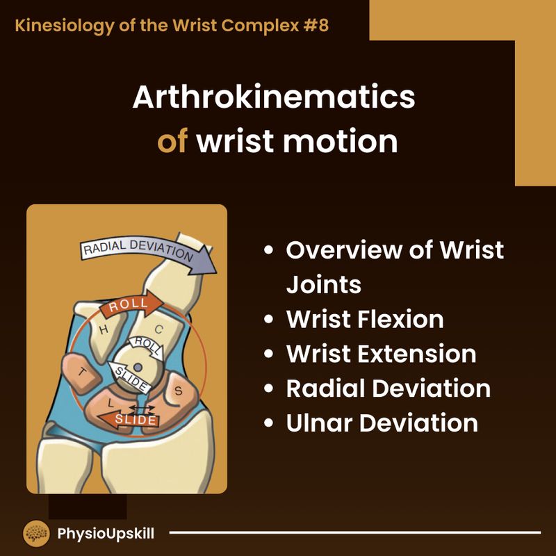 [Physioupskill] ## Episode 96: Kinesiology of the Wrist Complex #8 ...