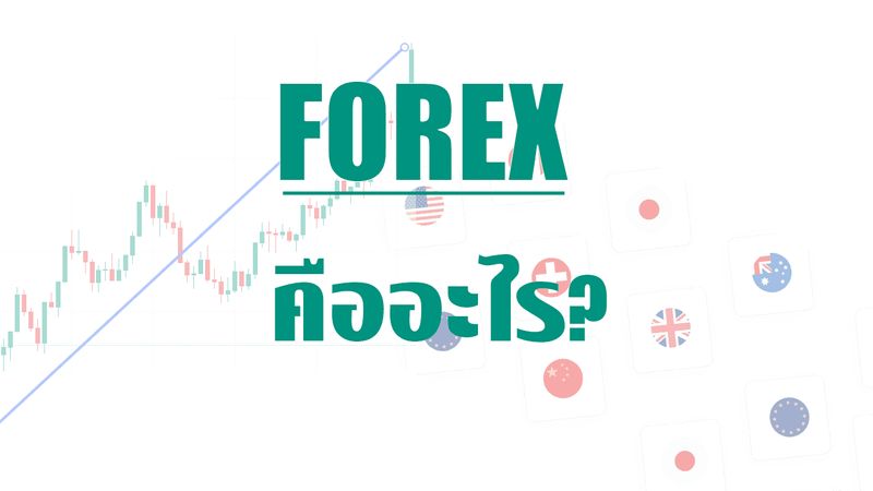 [Nicha Finance & Freelance] Forex คืออะไร? ทำความเข้าใจง่ายๆ ก่อนเริ่มลงทุน Forex (ฟอเร็กซ์ ...