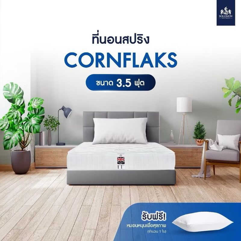 [อัจฉรา เพ็ญไพจิตร] ลองดู SOLOMON ที่นอนสปริง หนา9นิ้ว รุ่น Cornflaks แถมหมอนหนุนเกรดโรงแรม ...