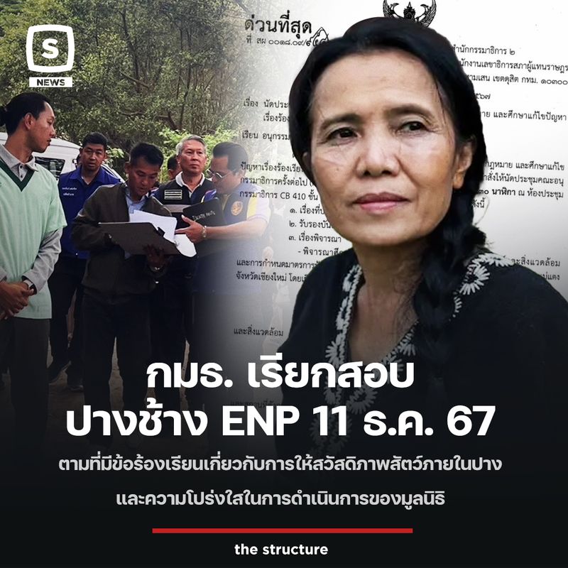 [The Structure] กมธ. เรียกสอบ ปางช้าง ENP 11 ธ.ค. 67 ตามที่มีข้อร้องเรียนเกี่ยวกับการให้ ...