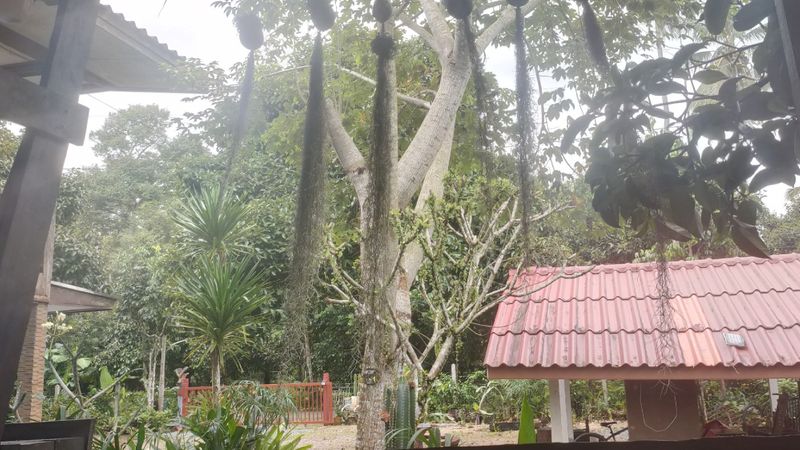 [Prashya Global] สวนธรรมสวนใจ เพื่อความรื่นรมย์ในสังคม ในสังคมที่เต็มไปด้วยความเร่งรีบและการ ...