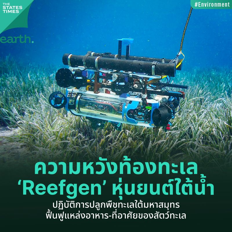 [THE STATES TIMES EARTH] ‘Reefgen’ หุ่นยนต์ใต้น้ำ ปฏิบัติการปลูกพืชทะเล ...