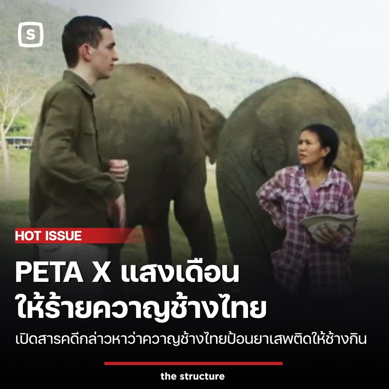 [The Structure] PETA X แสงเดือน ให้ร้ายควาญช้างไทย เปิดสารคดีกล่าวหาว่า ...