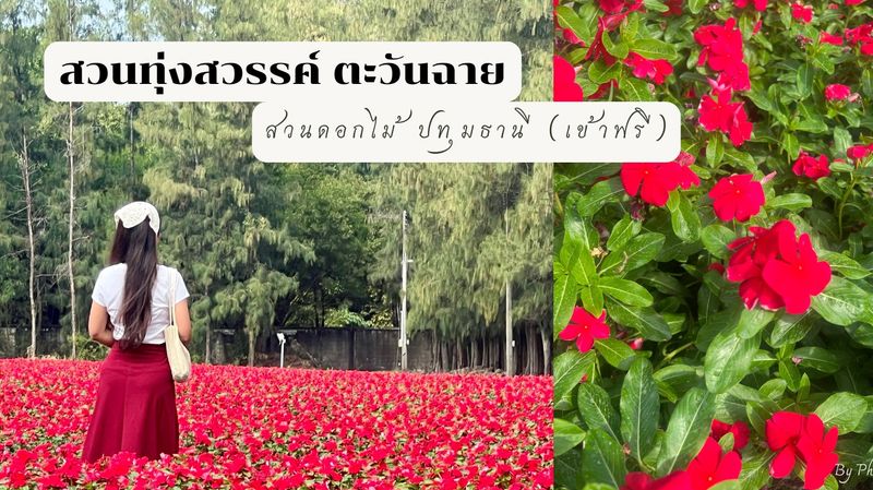 [เที่ยวกับ Phiangfan] สวนทุ่งสวรรค์ตะวันฉาย เป็นสวนดอกไม้ (เข้าฟรี) สวนดอกไม้ที่อยู่ในบริเวณวัด ...