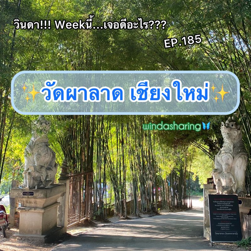 [windasharing] 🌿วันนี้มาเป็นตัวอักษรแทนเสียงนะคร๊าาาาา เนื่องจากเสียงหนีเที่ยวอยู่ค่ะ จะรีบตาม ...