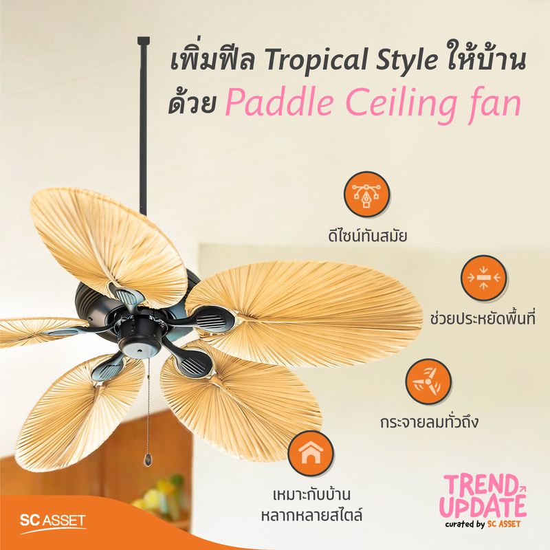 [SC Asset] เพิ่มฟีล Tropical Style ให้บ้านด้วย Paddle Ceiling Fan เมื่อ ...