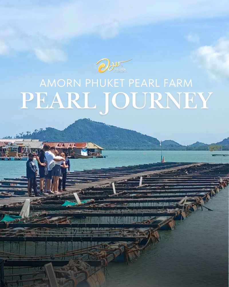 [Amorn Phuket Pearl] 𝐃𝐢𝐬𝐜𝐨𝐯𝐞𝐫 the Magic of Natural Pearls at 𝐀𝐦𝐨𝐫𝐧 𝐏𝐡𝐮𝐤𝐞𝐭 𝐏𝐞𝐚𝐫𝐥 𝐟𝐚𝐫𝐦 Where your ...