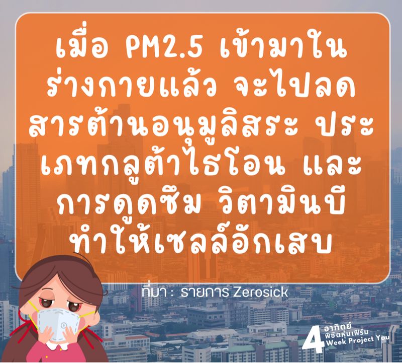 [21วันปั้นหุ่นสวย เปลี่ยนอาหาร เปลี่ยนรูปร่าง] PM2.5 เข้าสู่ร่างกาย ทำให้เซลล์อักเสบ 🔥🔥 พิเศษสุด ...