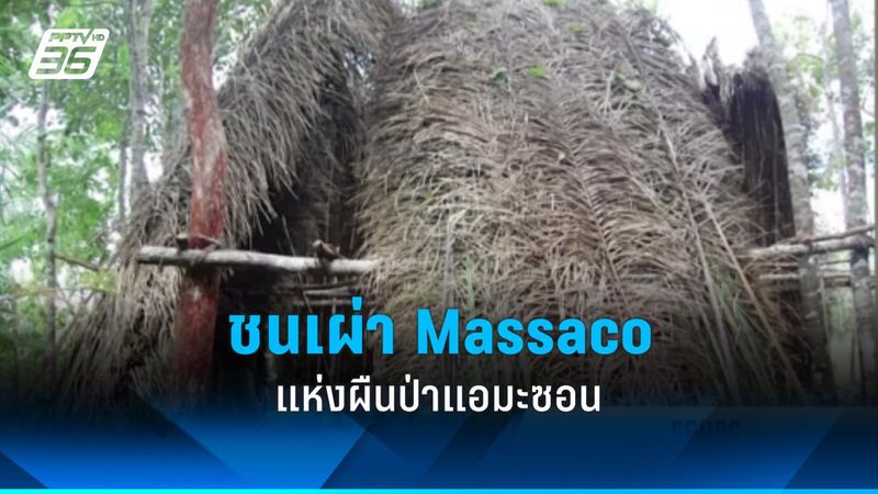 [PPTVHD36] บราซิล เผย ภาพชนเผ่า Massaco แห่งผืนป่าแอมะซอน บราซิล เผยภาพ ...
