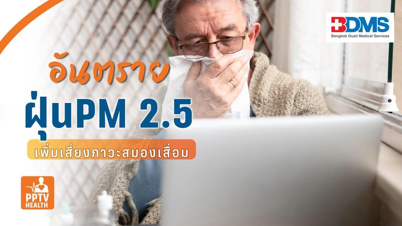 [PPTVHD36] ฝุ่น PM 2.5 เพิ่มความเสี่ยงหลอดเลือดหัวใจ ภาวะสมองเสื่อมในผู้สูงอายุ มื่อถึงฤดูหนาว ...