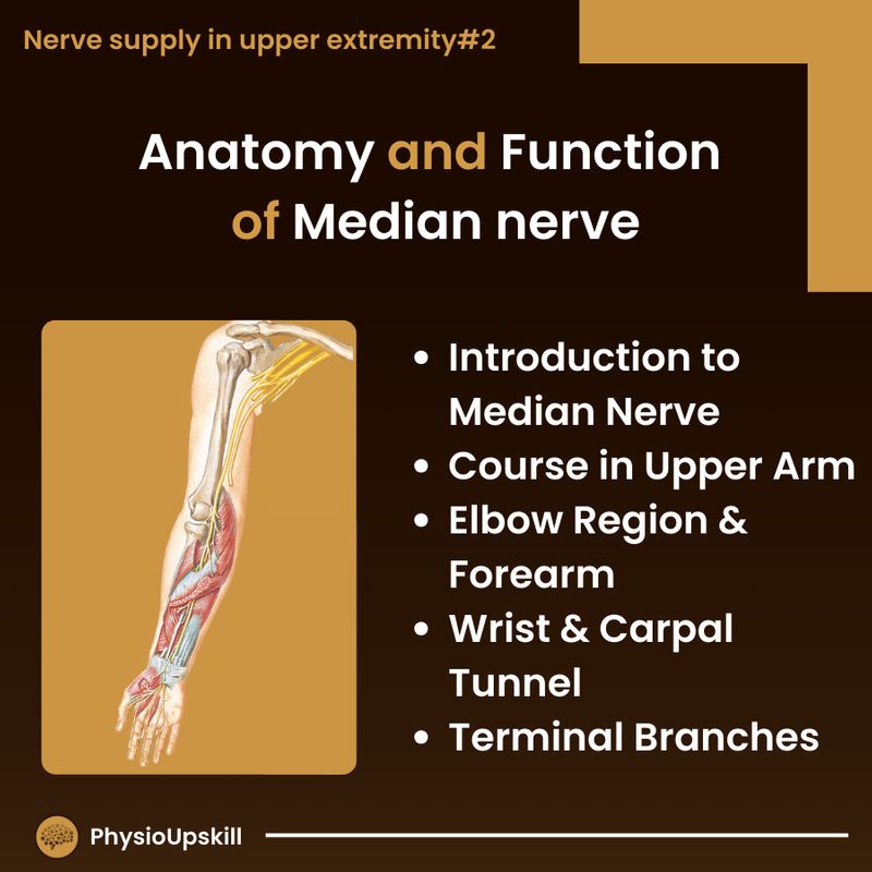 [Physioupskill] ## Episode102: Nerve supply in upper extremity#2 ...