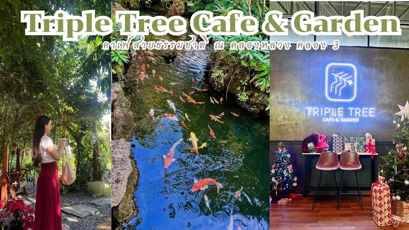 [ไปไหนก็ไป ก็ไปเที่ยวละกัน] Triple Tree Cafe & Garden คาเฟ่คลอง 3 คลอง ...