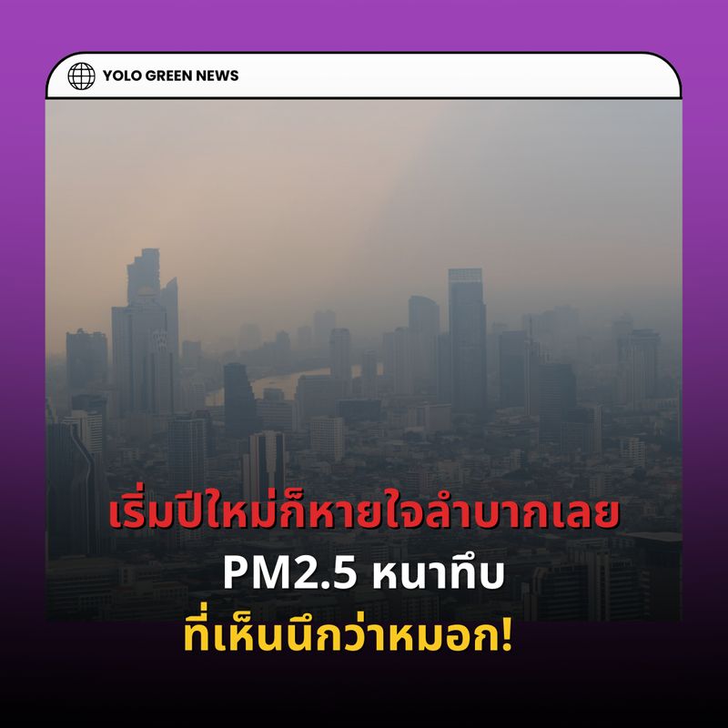 [Yolo Green News] เริ่มปีใหม่ก็หายใจลำบากเลย PM2.5 หนาทึบจนจนนึกว่าหมอก! เริ่มเดือนแรกของปีคนไทย ...