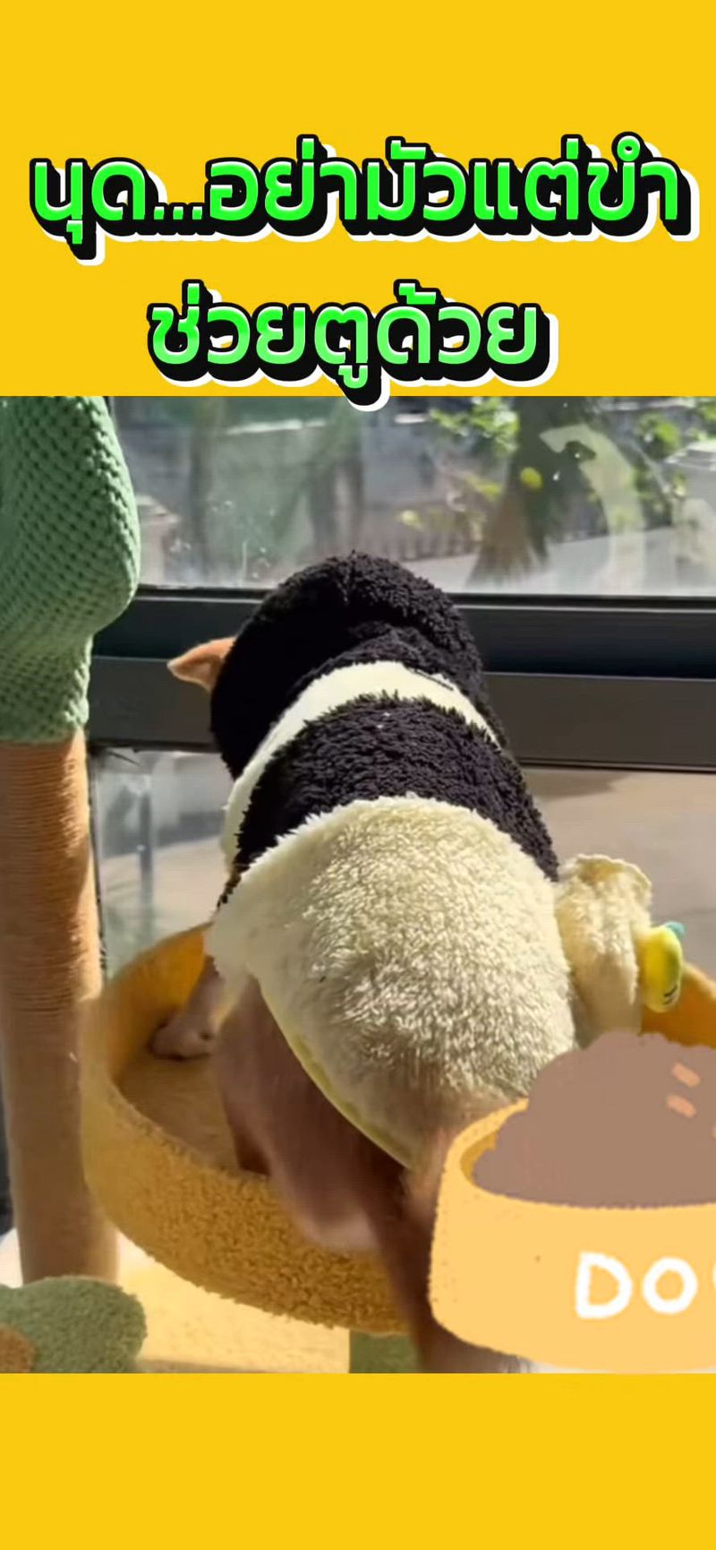 [safetybuddybb84] คลิปตลก: อย่ามัวแต่ขำ ช่วยหนูด้วย