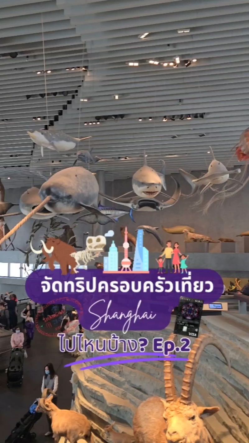[SCB Thailand] รีวิว Shanghai Natural History Museum หนึ่งใน ...
