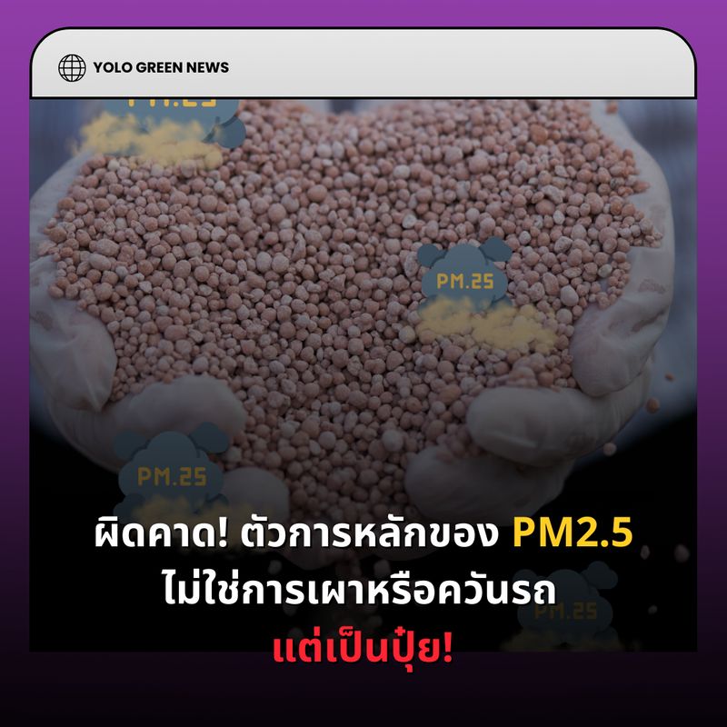 [Yolo Green News] ผิดคาด! ตัวการหลักที่ทำให้เกิด PM2.5 ไม่ใช่การเผาหรือควันรถ แต่เป็นปุ๋ย! ทุก ...