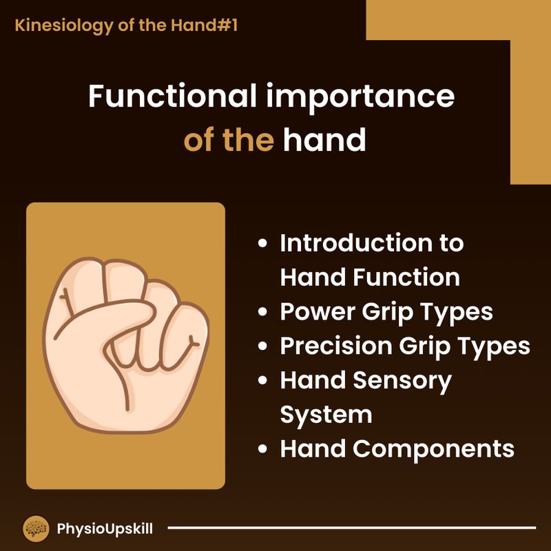 [Physioupskill] ## Episode107: Kinesiology of the Hand#1 Functional ...