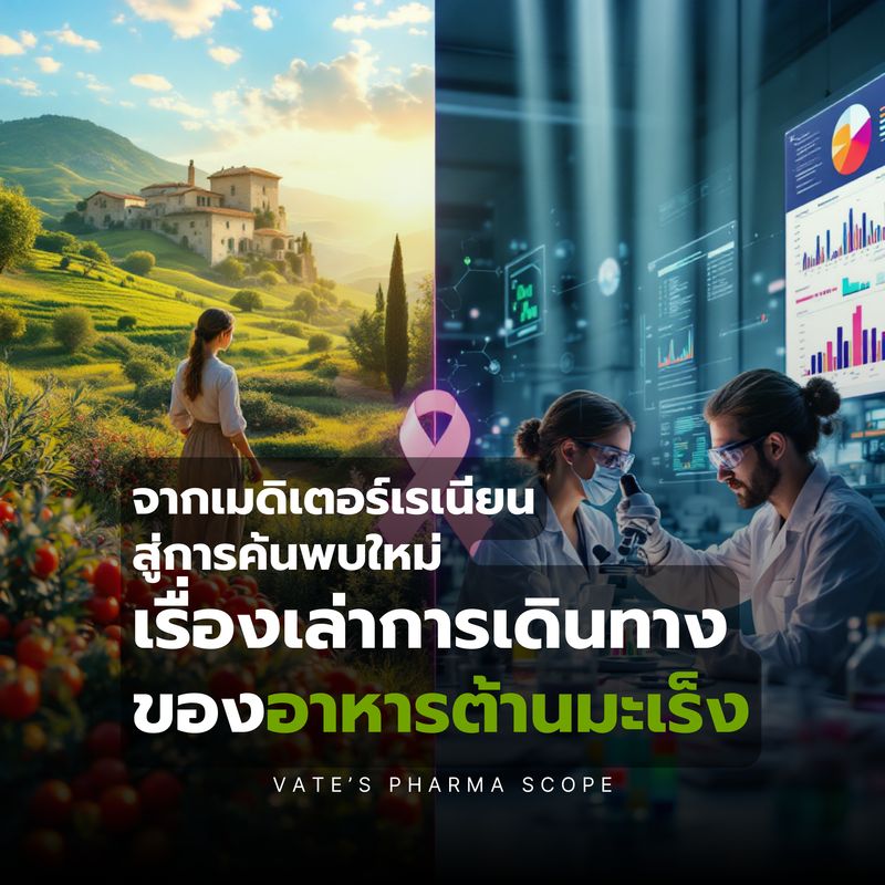 [Vate's Pharma Scope] จากเมดิเตอร์เรเนียนสู่การค้นพบใหม่: เรื่องเล่าการเดินทางของอาหารต้านมะเร็ง ...