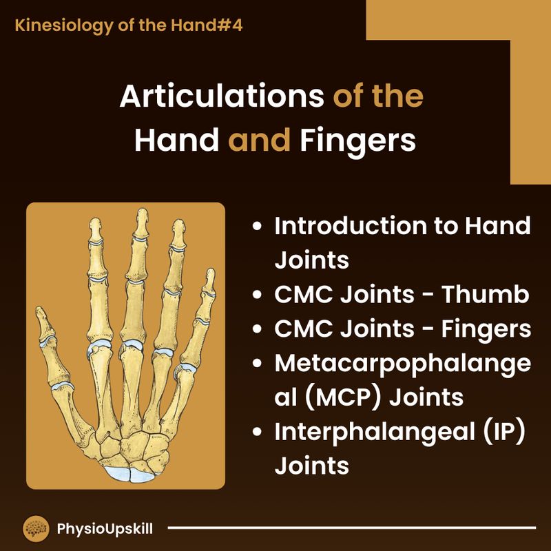 [Physioupskill] ## Episode110: Kinesiology of the Hand#4 Articulations ...