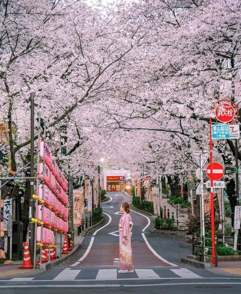 [marumura] 📍📸 Check in! ถ่ายรูปสุดปังในโตเกียว! 🇯🇵 🌸อุโมงค์ซากุระที่ ...