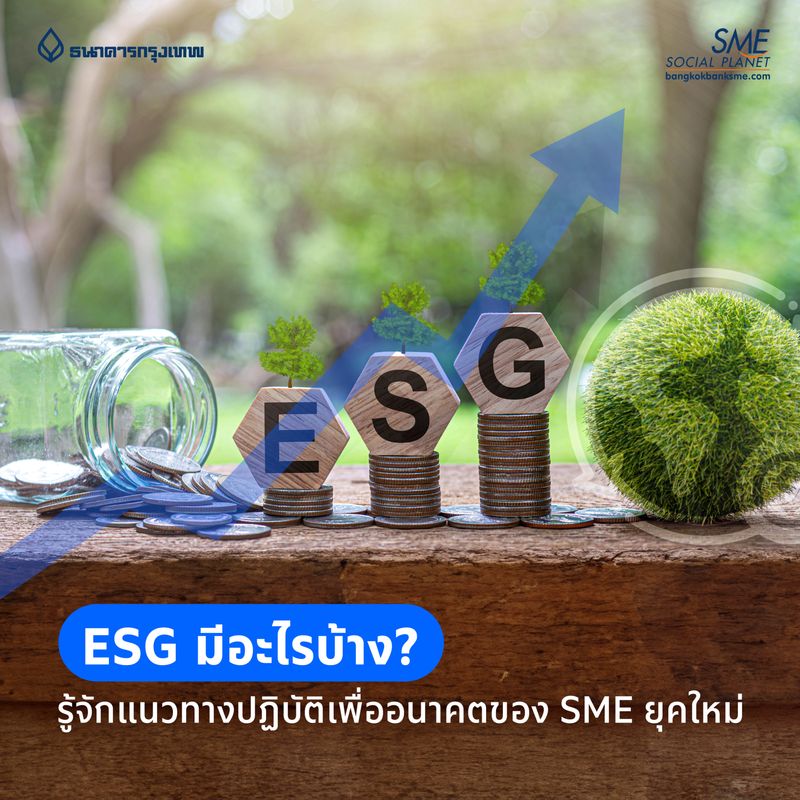 [Bangkok Bank SME] ESG มีอะไรบ้าง? รู้จักแนวทางปฏิบัติเพื่ออนาคตของ SME ยุคใหม่ บทความนี้จะพาคุณ ...