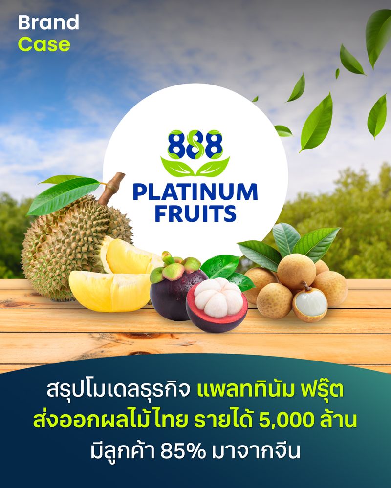[BrandCase] สรุปโมเดลธุรกิจ แพลททินัม ฟรุ๊ต ส่งออกผลไม้ไทย รายได้ 5,000 ล้าน มีลูกค้า 85% มาจาก ...