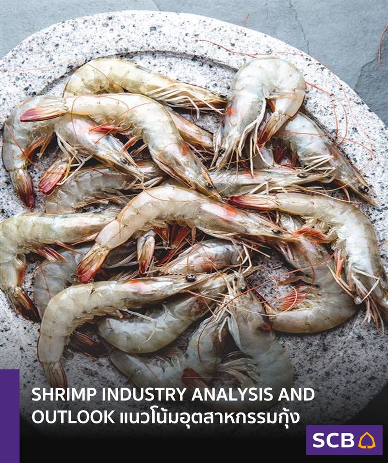 [SCB Thailand] SHRIMP INDUSTRY ANALYSIS AND OUTLOOK แนวโน้มอุตสาหกรรมกุ้ง ภาพรวมอุตสาหกรรมกุ้ง ...