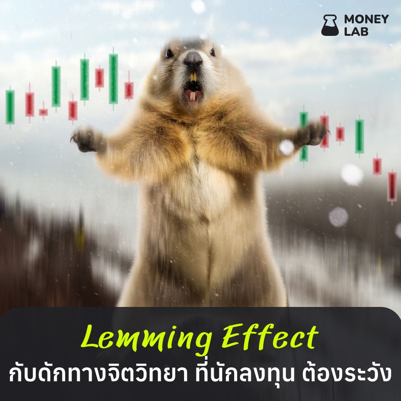 [MONEY LAB] Lemming Effect กับดักทางจิตวิทยา ที่นักลงทุน ต้องระวัง ใน ...