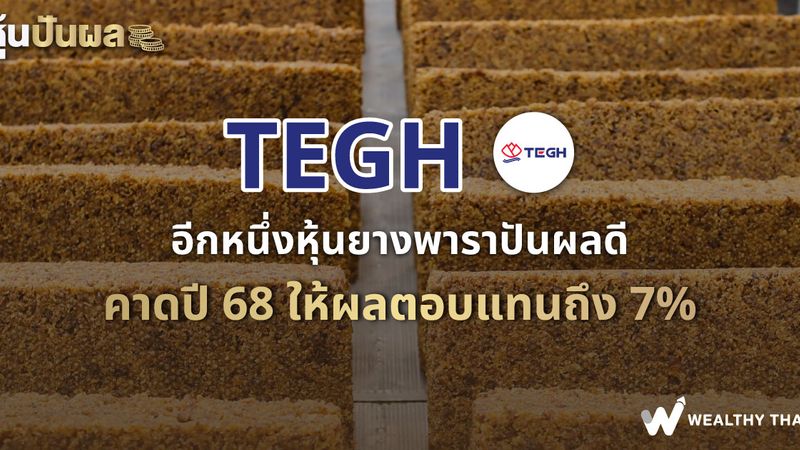 [Wealthy Thai] TEGH อีกหนึ่งหุ้นยางพาราปันผลดี คาดปี 68 ให้ผลตอบแทนถึง 7% หุ้นปันผลสัปดาห์นี้ ...
